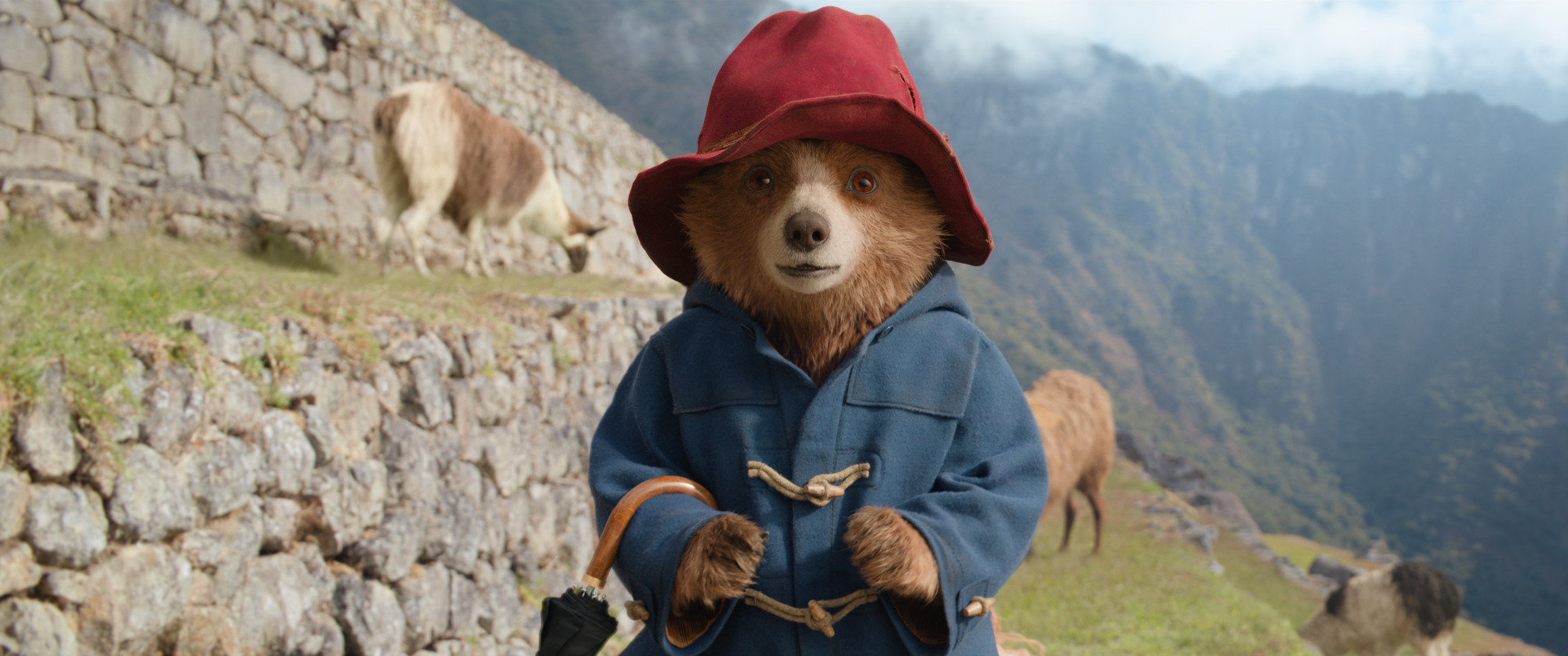 PADDINGTON IN PERU